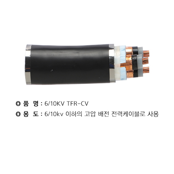 [3사] 고압 6/10Kv TFR-CV (50SQ 이하) - TFR-CV 6.10KV - 16SQ * 3C(고압)